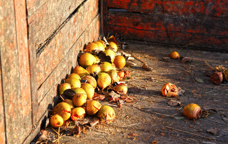 Normandy – apples in the rhythm of centuries -- ProWein Trade Fair